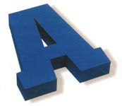 Painted Foam Sign Letter 6 inch - Easy Install- 95 Styles 75 Colors ...