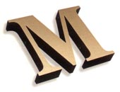 Metal Laminated Foam Sign Letter 12 inch - Easy Install- Gold & Silver