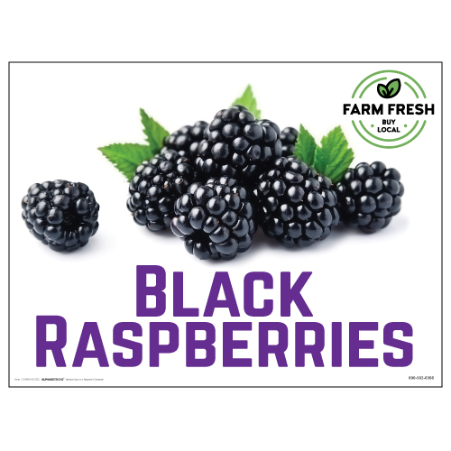 Black Raspberries Yard Signs