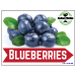 Blueberries Produce Yard Signs | Visible Double Sided