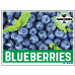 Blueberries Produce Yard Signs | Visible Double Sided