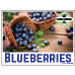 Blueberries Produce Yard Signs | Visible Double Sided