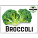 Broccoli Produce Yard Signs | Visible Double Sided