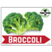 Broccoli Produce Yard Signs | Visible Double Sided