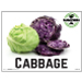 Cabbage Produce Yard Signs | Visible Double Sided