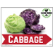 Cabbage Produce Yard Signs | Visible Double Sided