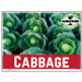 Cabbage Produce Yard Signs | Visible Double Sided