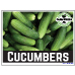 Cucumbers Produce Yard Signs | Visible Double Sided