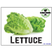 Lettuce ProduceYard Signs | Visible Double Sided