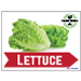 Lettuce ProduceYard Signs | Visible Double Sided