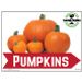 Pumpkins For Sale Yard Signs | Visible Double Sided