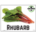 Rhubarb Produce Yard Signs | Visible Double Sided