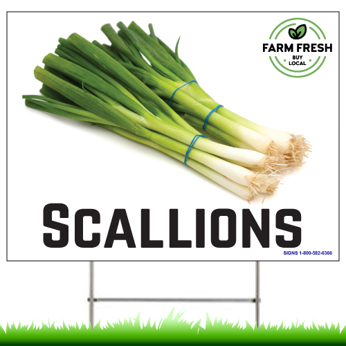 alphabetsigns.com Reviews | Shopper Approved