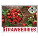 Strawberries Produce Yard Signs | Visible Double Sided
