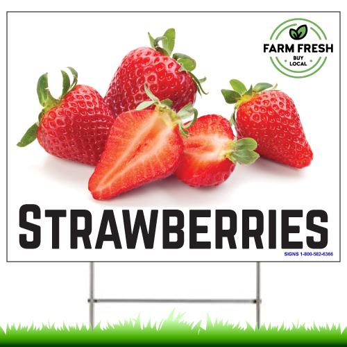 Sign For Strawberries The Village Studio | Lots Of New Magnets