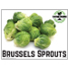 Brussels Sprouts Yard Signs | Visible Double Sided