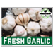 Fresh Garlic Yard Signs | Visible Double Sided