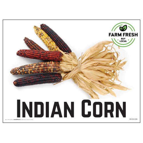 Indian Corn Yard Signs | Visible Double Sided | CS4072