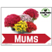 Mums Yard Signs | Visible Double Sided