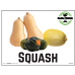 Squash Variety Yard Signs | Visible Double Sided