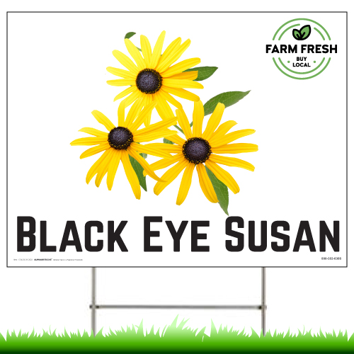Black Eye Susan Yard Signs