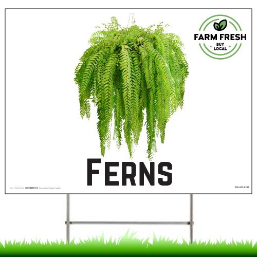 Fern Yard Signs
