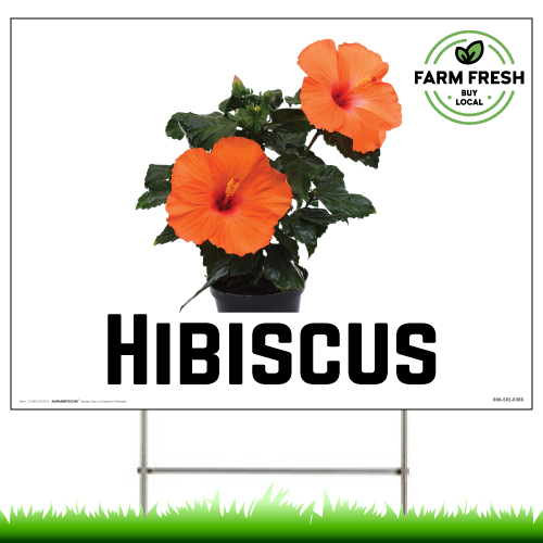 Hibiscus Yard Signs | Visible Double Sided | CS4220