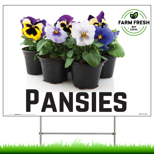 Pansies Yard Signs | Visible Double Sided | CS4223