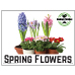 Spring Flowers Yard Signs | Visible Double Sided