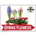 Spring Flowers Yard Signs | Visible Double Sided