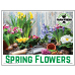 Spring Flowers Yard Signs | Visible Double Sided