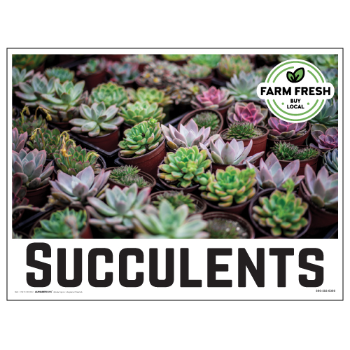 Succulents Yard Signs