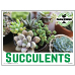 Succulents Yard Signs | Visible Double Sided