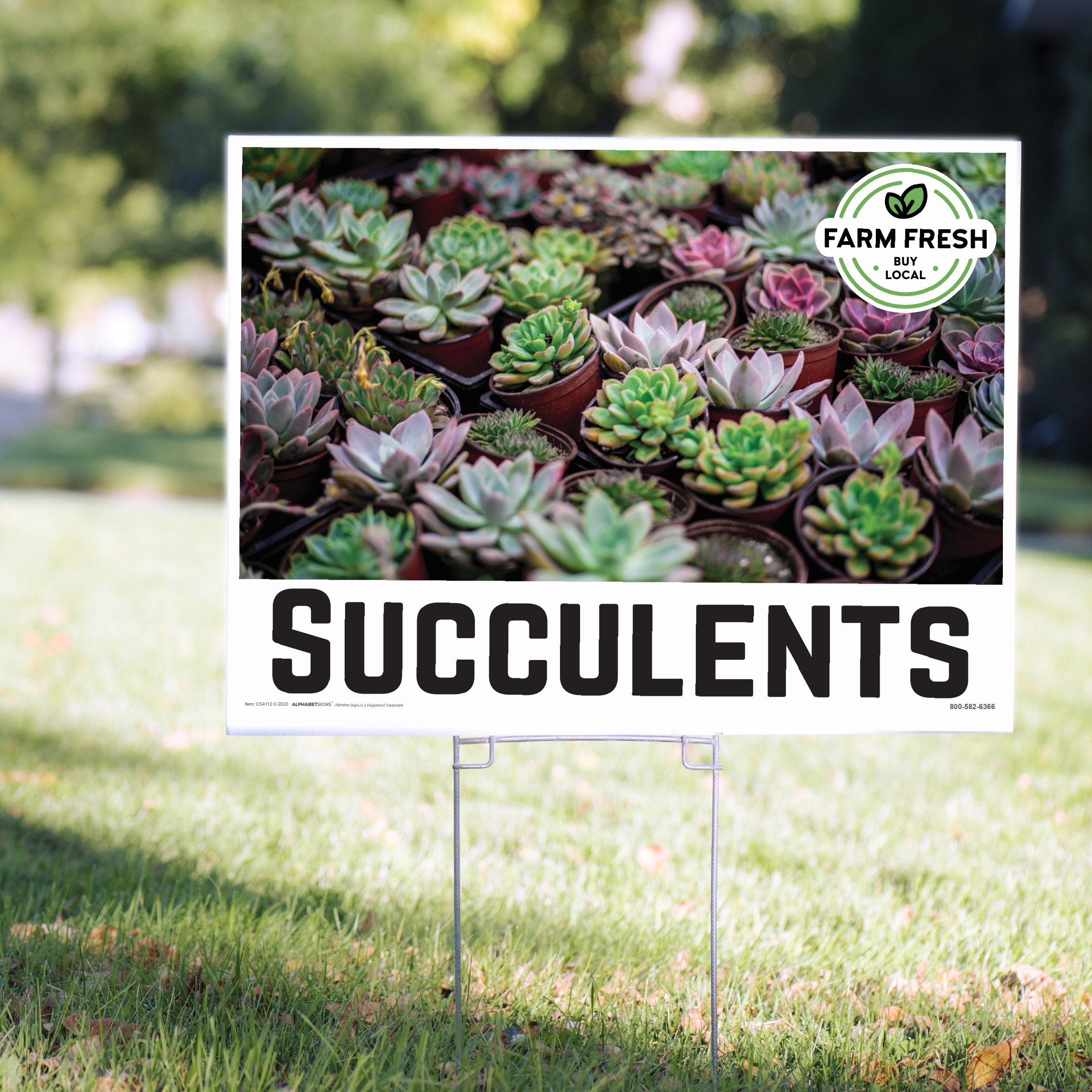 Succulents Yard Signs