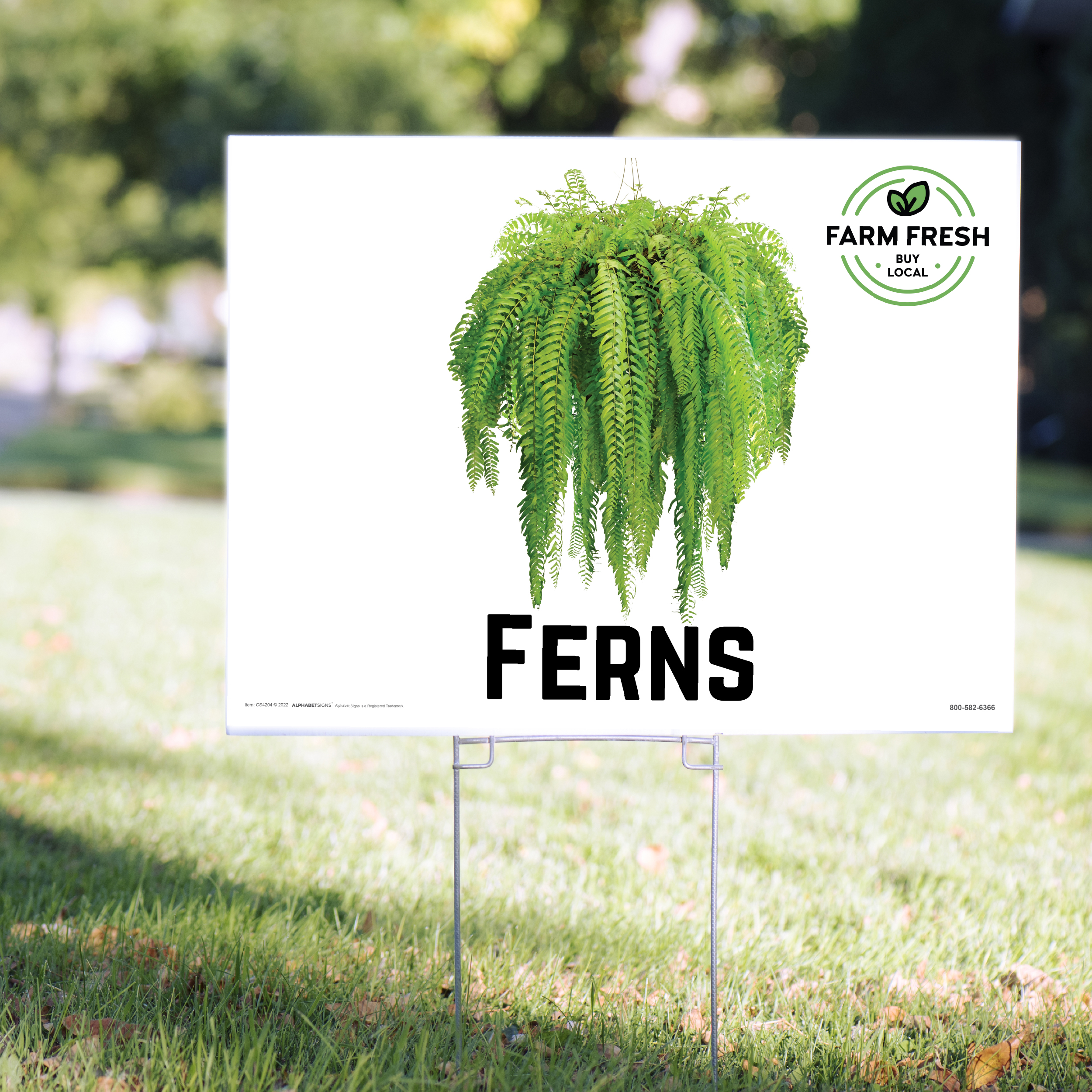 Fern Yard Signs