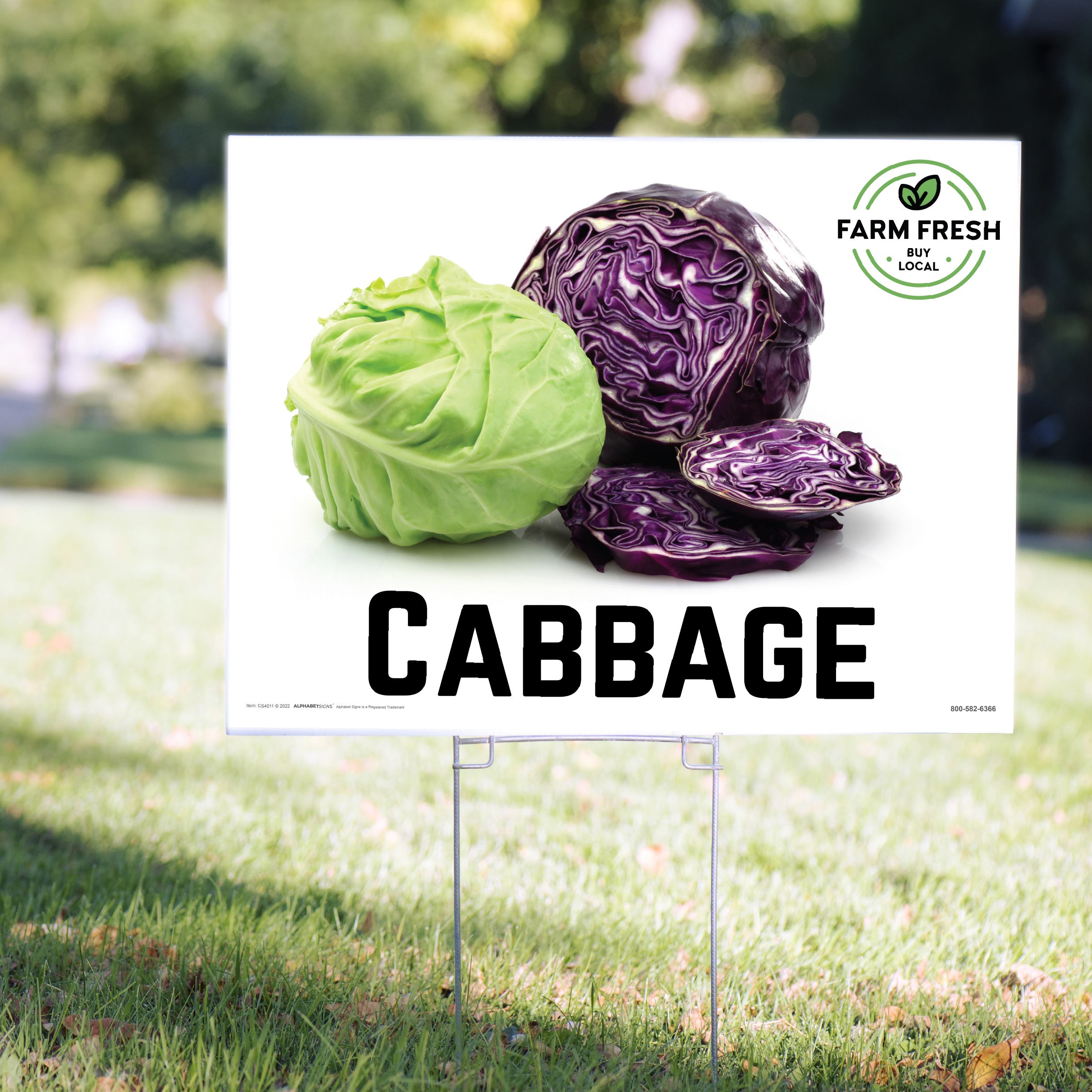 Cabbage Yard Signs