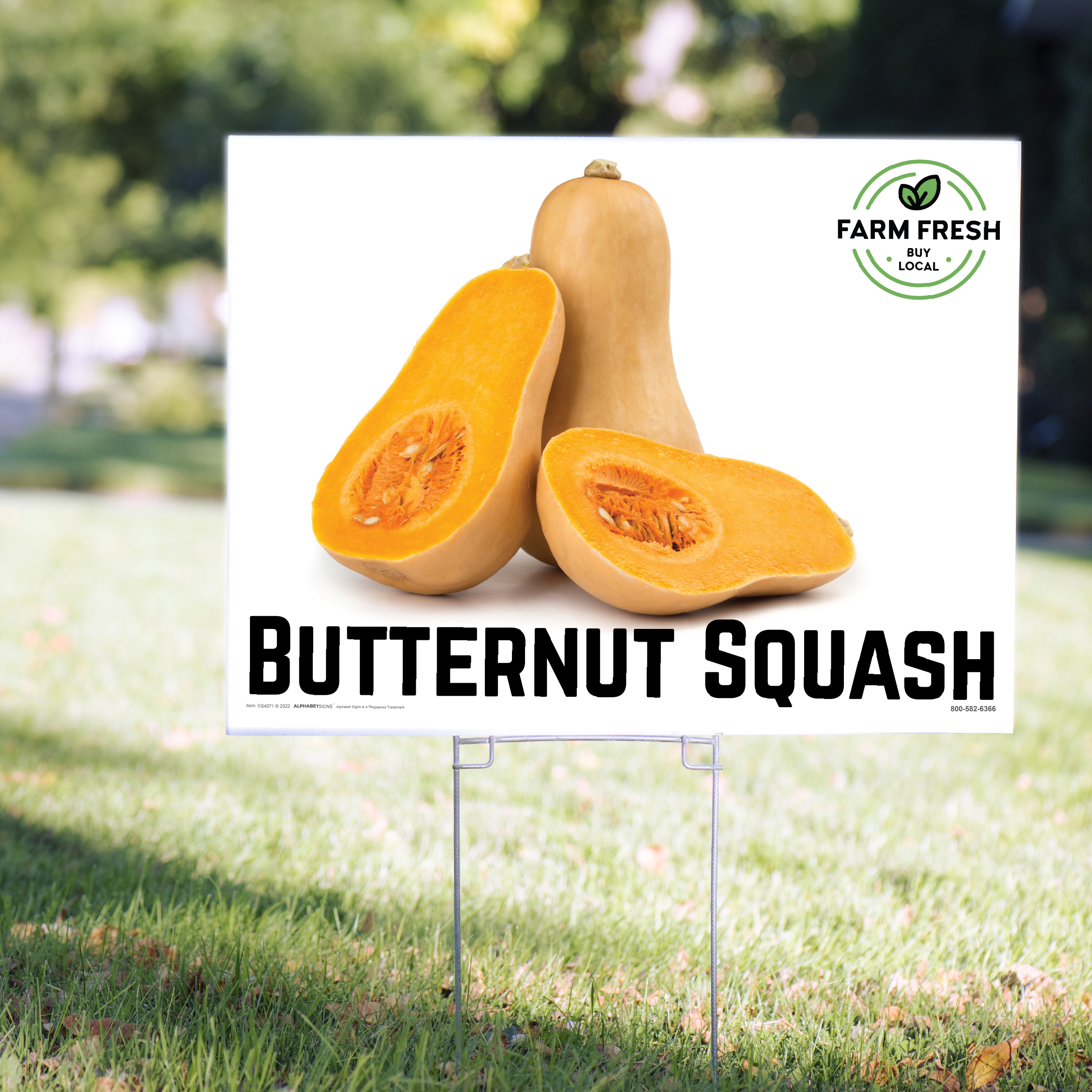 Butternut Squash Yard Signs