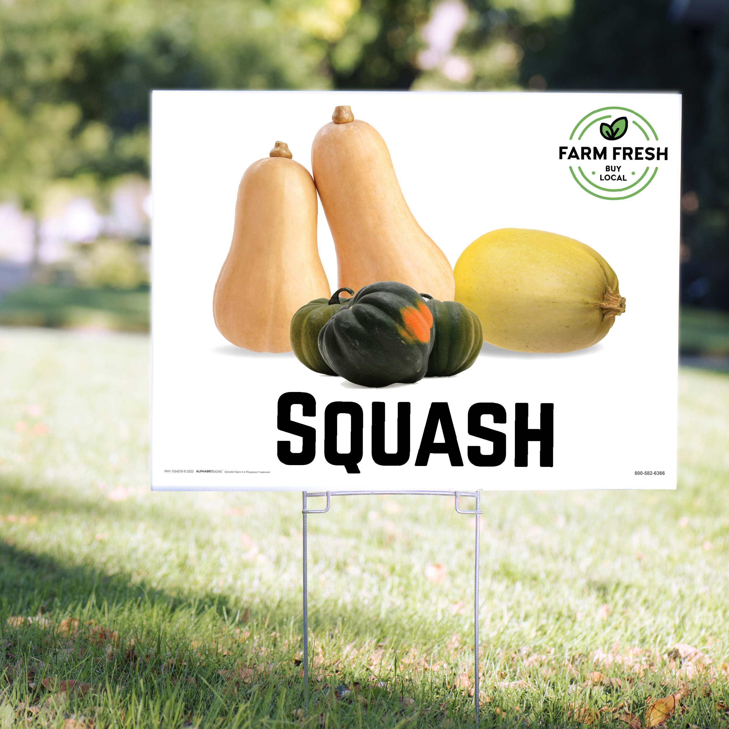 Squash Variety Yard Signs